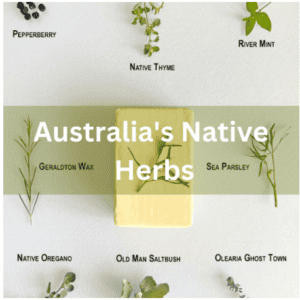 How Australia's Native Ingredients Taste